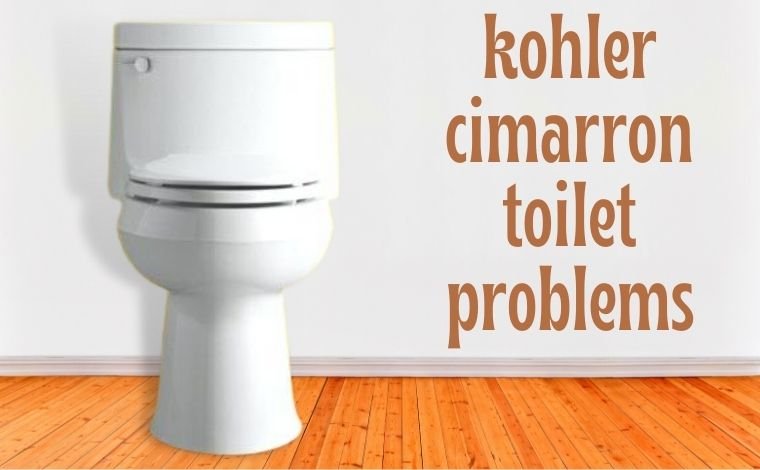 6 Common Kohler Cimarron Toilet Problems and Their Solutions