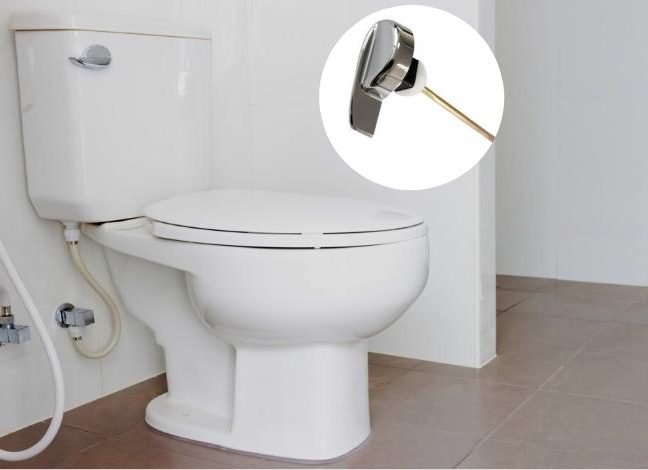 Types of Toilet Handles: What is a Toilet Handle Called?