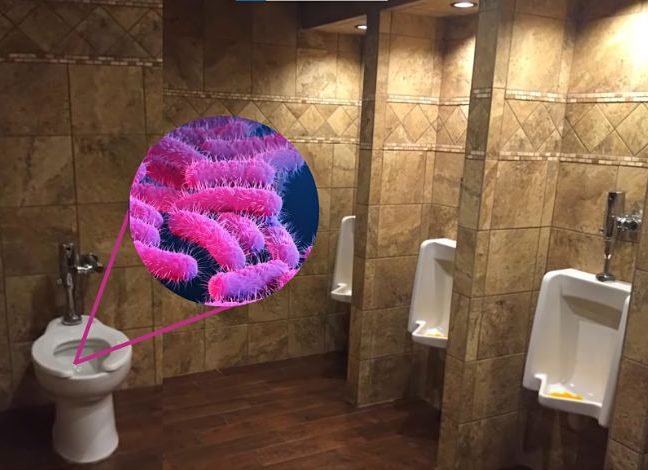 How to use a public toilet safely? (Avoid infection)