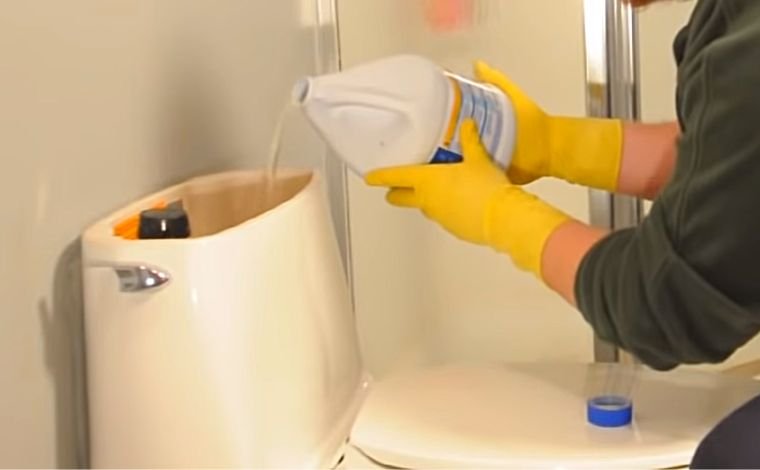 Black mold in the toilet bowl: reasons and how to get rid of this issue?