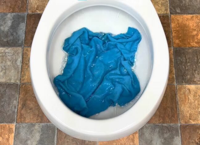 What is the Kohler Class 5 flushing system?