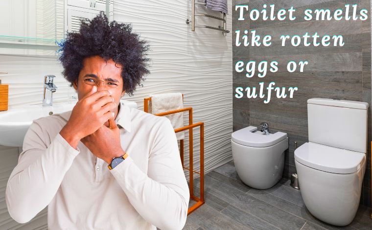Toilet Smells Like Sulfur