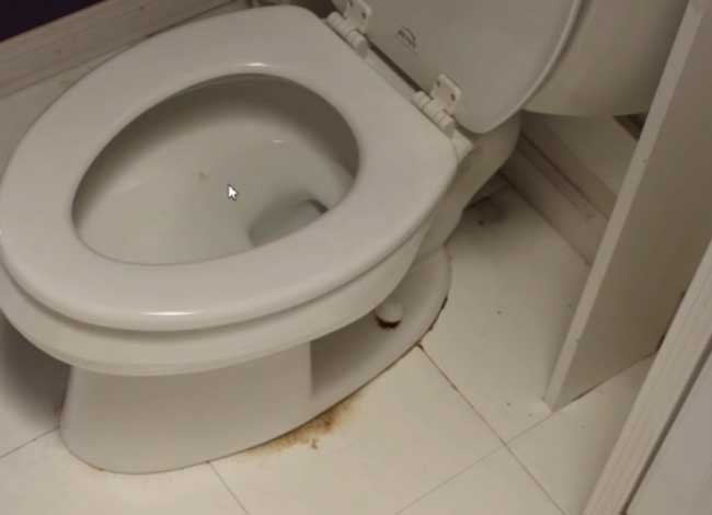 Best-Selling American Standard Toilet List & Their Problems