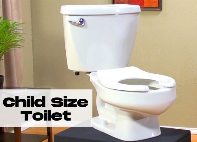 Child-sized toilets: How to buy a toilet for children?