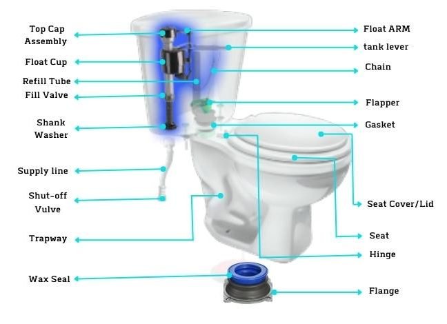Toilet Terminology with Parts Diagrams and Definitions (Glossary)